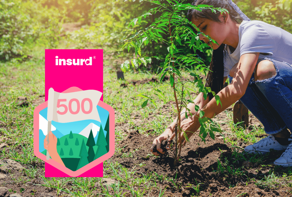 Carbon offsetting through efficient tree planting | insurd®