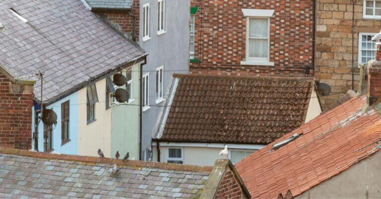 What does freehold tenure mean? | insurd®