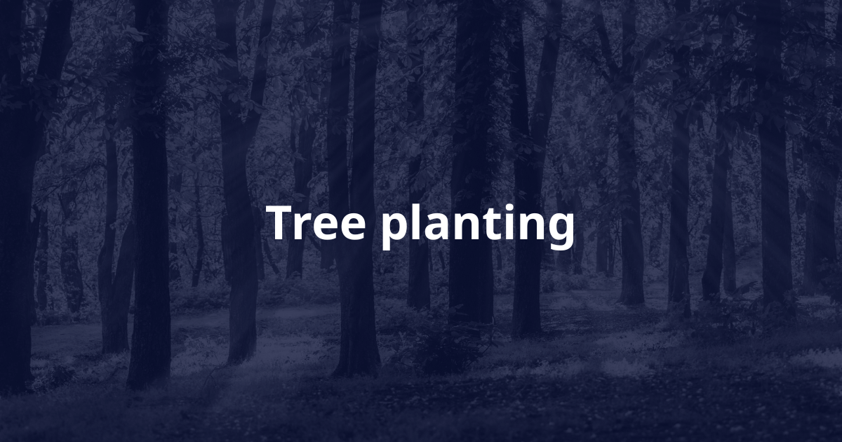 Carbon Offsetting Through Efficient Tree Planting | insurd®